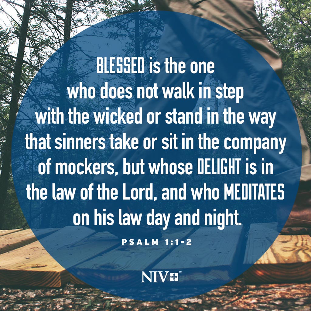 Verse Of The Day