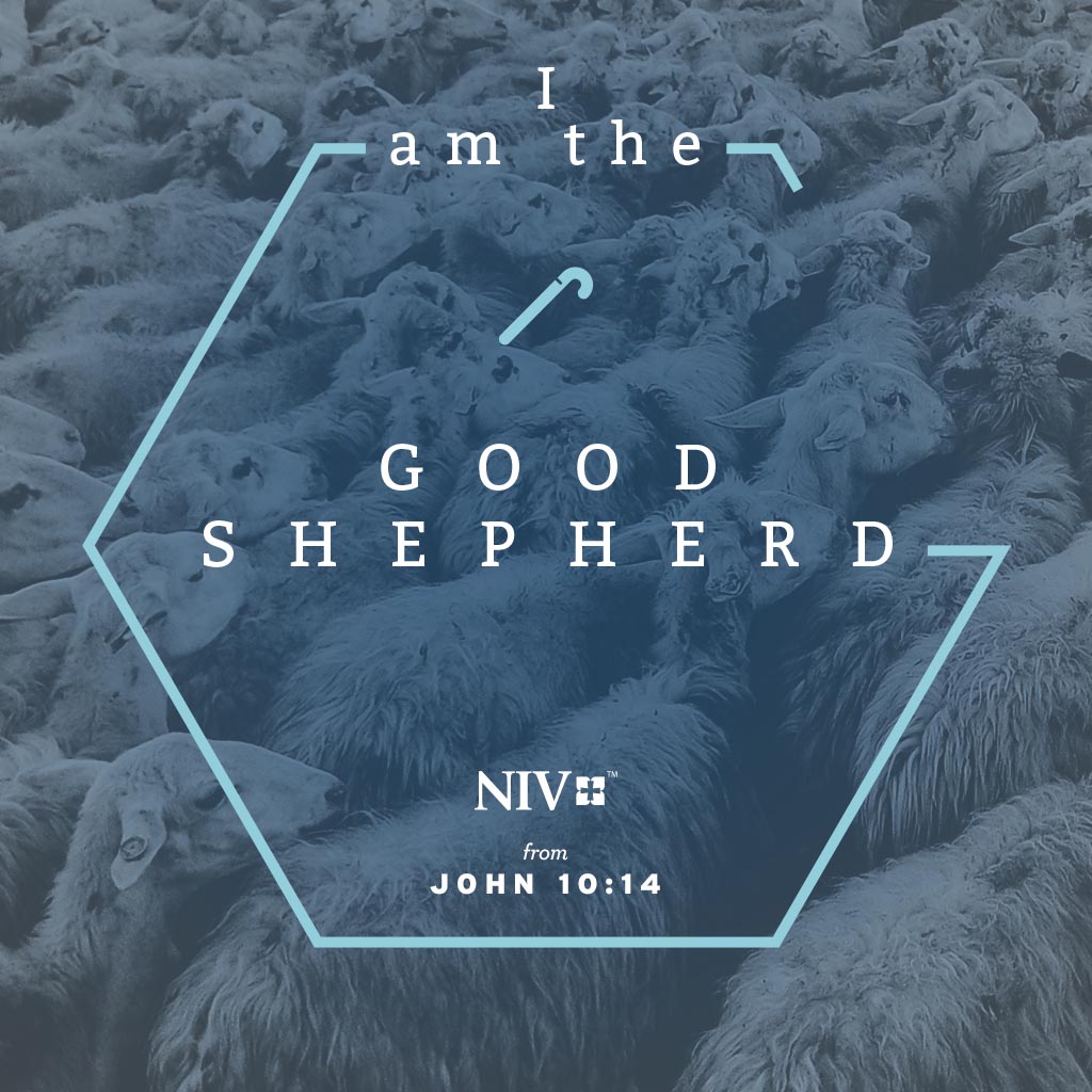 Verse Of The Day verse-of-the-day